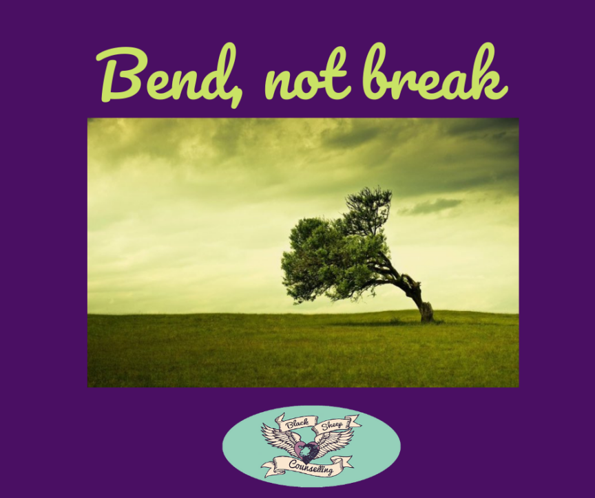 Bend, not Break - Black Sheep Counselling Ltd.